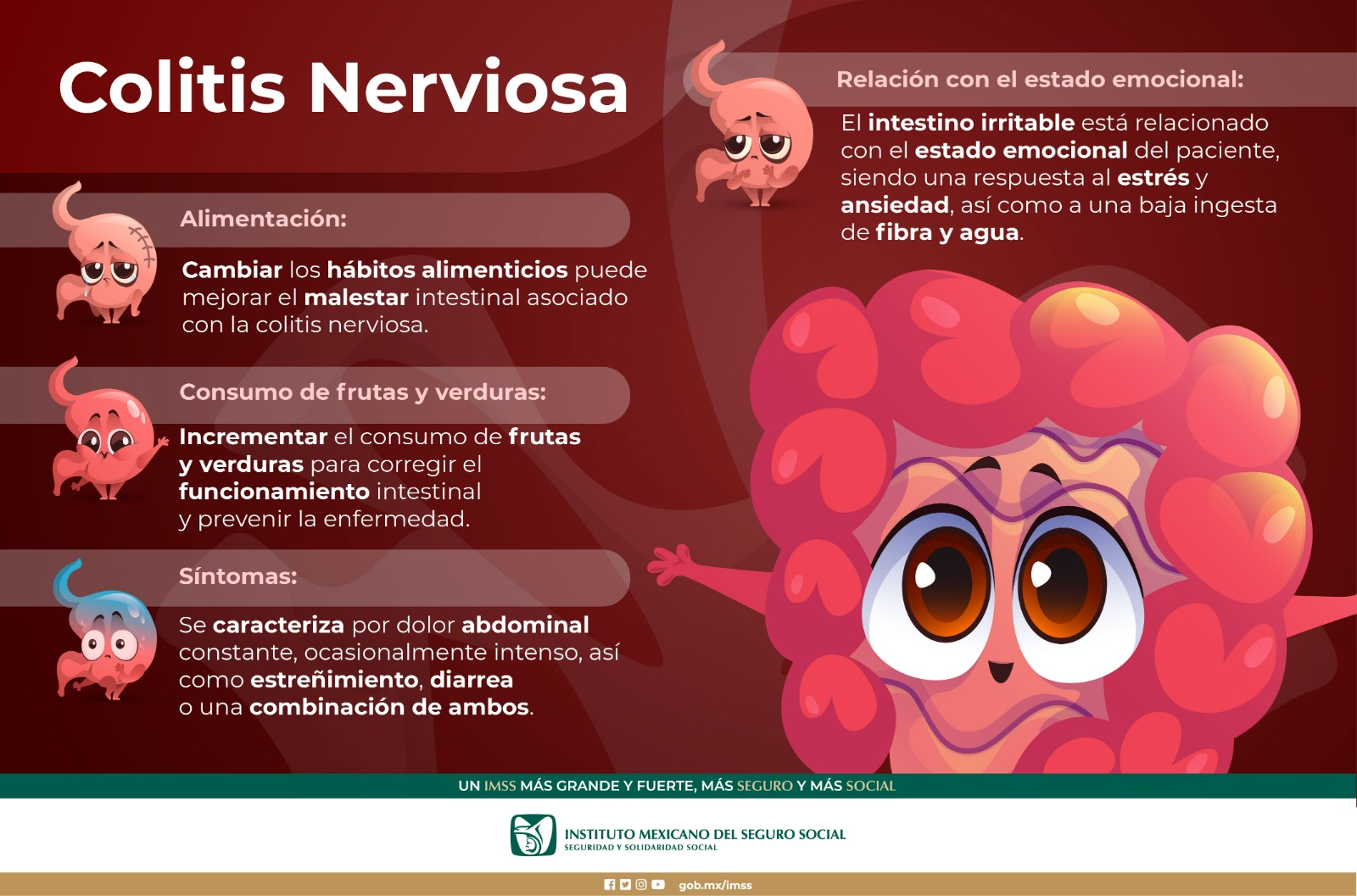 Recomienda IMSS Veracruz Sur sana alimentación para evitar colitis ...