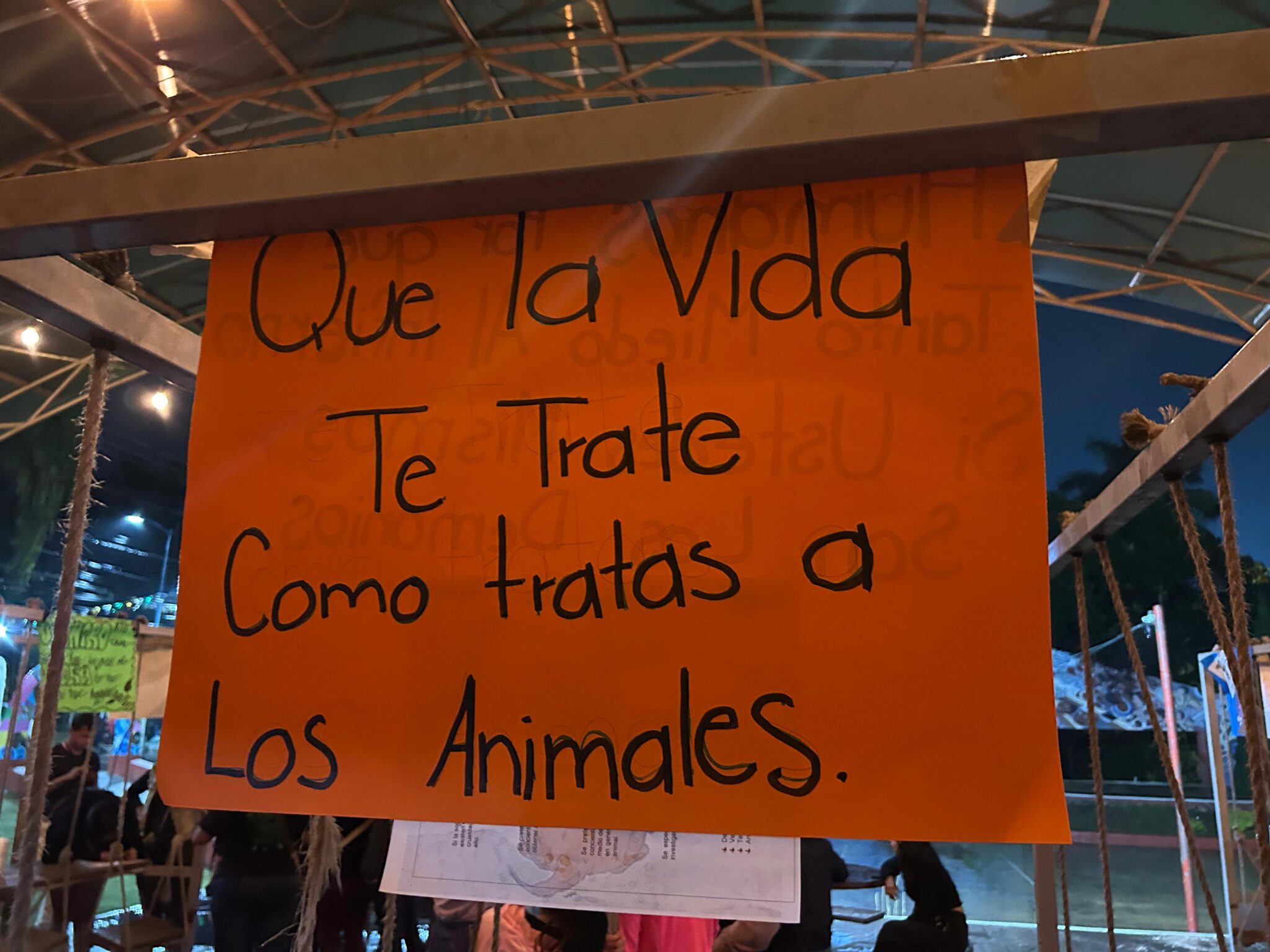 Realizan primer marcha histórica en contra del maltrato animal en ...