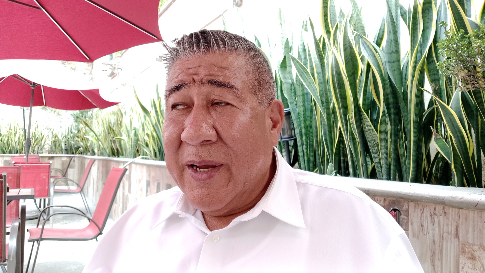 En entrevista con el maestro Rafael Delgado Alvarado - En Conexión