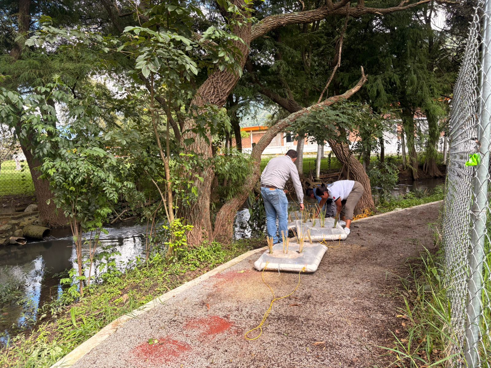 Ciudad Ahuehuetes une a comunidad, gobierno e instituciones - En Conexión
