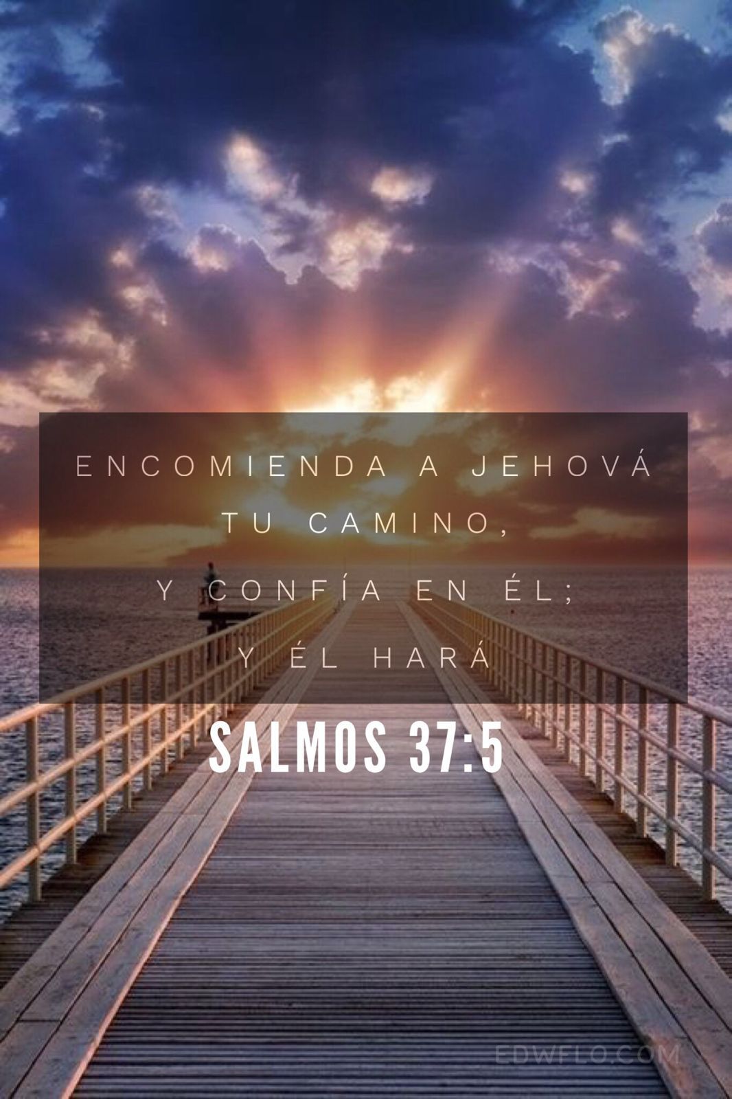 Para, ora y avanza con fe - En Conexión